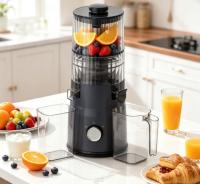 China Fresh Smart HJ103 Compact Slow Masticating Juicer – The Smart Choice for Modern Kitchens with 135mm Wide Chute, 200W Cold Press & Self-Cleaning for sale