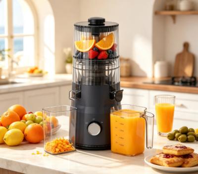 China Fresh Smart HJ103 Compact Slow Masticating Juicer – More Value, Less Space, Same Great Juice with 135mm Wide Chute, 200W Cold Press & Self-Cleaning for sale