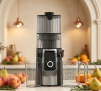 China Fresh Smart HJ102C Slow Masticating Juicer – The Juicer That Brings the Farmers Market to Your Kitchen with 3 Adjustable Speeds, 135mm Wide Chute, 200W Cold Press & Self-Cleaning for sale