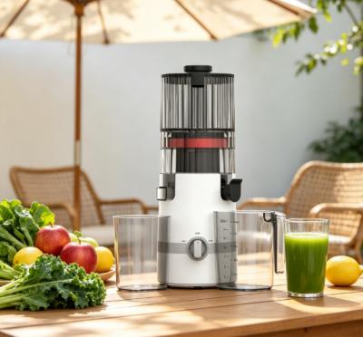 China Fresh Smart HJ102B Slow Masticating Juicer – The Everyday Freshness Your Family Deserves with 135mm Chute, 200W Cold Press, Self-Cleaning & Safety Design for sale