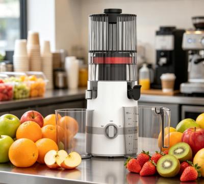 China Fresh Smart HJ102B Slow Masticating Juicer – Fresh Juice, Fresh Start, Fresh Family Mornings with 135mm Chute, 200W Cold Press, Self-Cleaning & Lock for sale
