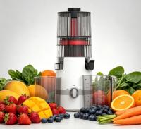 China Fresh Smart HJ102B Slow Masticating Juicer – Fresh Juice, Fresh Start, Fresh Family with 135mm Chute, 200W Cold Press, Self-Cleaning & Safety Lock for sale