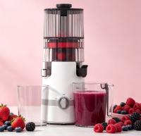 China Fresh Smart HJ102B Slow Masticating Juicer – The Healthy Choice Your Family Will Love with 135mm Chute, 200W Cold Press, Self-Cleaning & Safety Lock System for sale