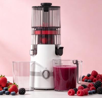 China Fresh Smart HJ102B Slow Masticating Juicer – The Healthy Choice Your Family Will Love with 135mm Chute, 200W Cold Press, Self-Cleaning & Safety Lock System for sale