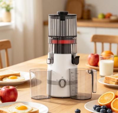 China Fresh Smart HJ102B Slow Masticating Juicer – Make Healthy Living a Daily Reality with 135mm Chute, 200W Cold Press, Self-Cleaning & Safety Lock for Families for sale