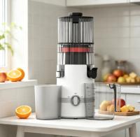 China Fresh Smart HJ102B Slow Masticating Juicer – Start Your Family’s Health Journey Here with 135mm Chute, 200W Cold Press, Self-Cleaning & Safety Lock for Home for sale