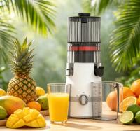 China Fresh Smart HJ102B Slow Masticating Juicer – Where Wellness Begins with Fresh Juice with 135mm Chute, 200W Cold Press, Self-Cleaning & Safety Lock for Families for sale