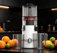 China Fresh Smart HJ102B Slow Masticating Juicer – The Heart-Healthy Choice for Your Family with 135mm Chute, 200W Cold Press, Self-Cleaning & Safety Lock for sale