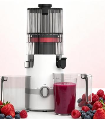 China Fresh Smart HJ102B Slow Masticating Juicer – The Trusted Choice for Family Nutrition with 135mm Chute, 200W Cold Press, Self-Cleaning & Safety Lock System for sale
