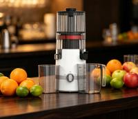 China Fresh Smart HJ102B Slow Masticating Juicer – The Family Juicer That Does It All with 135mm Chute, 200W Cold Press, Self-Cleaning & Smart Safety System for sale