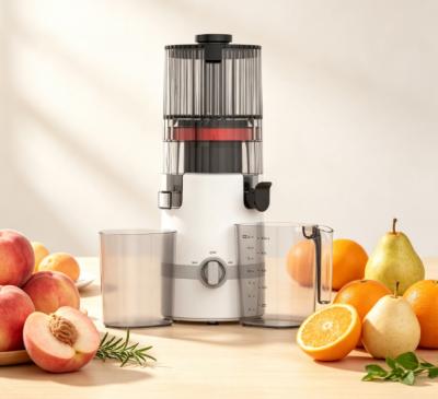 China Fresh Smart HJ102B Slow Masticating Juicer – The Everyday Essential for Fresh, Healthy Juice with 135mm Chute, 200W Cold Press, Self-Cleaning & Safe Lock for sale