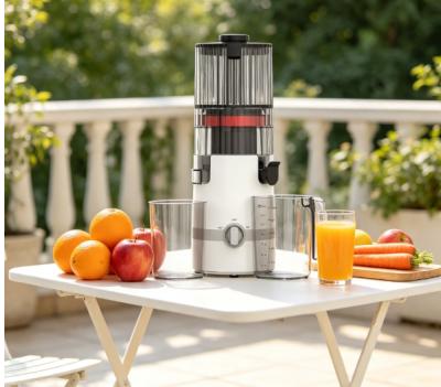 China Fresh Smart HJ102B Slow Masticating Juicer – Your Family's Fresh Juice Station with 135mm Chute, 200W Cold Press, Self-Cleaning & Child-Safe Lock Design for sale