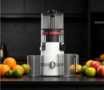 China Fresh Smart HJ102B Slow Masticating Juicer – The Fresh Start Your Family Deserves with 135mm Chute, 200W Cold Press, Self-Cleaning & Reliable Safety Lock for sale