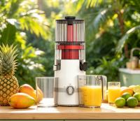 China Fresh Smart HJ102B Slow Masticating Juicer – The Trusted Family Juicer with Automatic Safety Lock, 135mm Wide Chute, 200W Cold Press & Self-Cleaning for Everyday Nutrition for sale