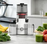 China Fresh Smart HJ102B Slow Masticating Juicer – Parent-Approved Edition with Smart Lock Technology, 135mm Wide Chute, 200W Cold Press Motor & Self-Cleaning for Worry-Free Family Juicing for sale