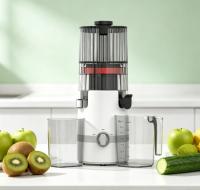 China Fresh Smart HJ102B Easy-Clean Slow Juicer — 3-Part Detachable Design with Strainer-Free Chamber for sale