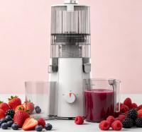 China Fresh Smart HJ102A Immune Support Slow Masticating Juicer – 200W Vitamin Extractor with 135mm Wide Chute, 55 RPM Cold Press Technology for Natural Defense & Seasonal Wellness for sale