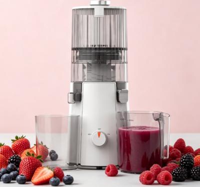 China Fresh Smart HJ102A Immune Support Slow Masticating Juicer – 200W Vitamin Extractor with 135mm Wide Chute, 55 RPM Cold Press Technology for Natural Defense & Seasonal Wellness for sale
