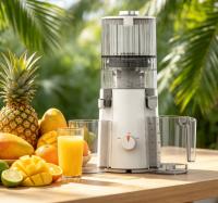China Fresh Smart HJ102A Eco-Friendly Slow Masticating Juicer – 200W Energy-Efficient Cold Press Extractor with 135mm Wide Chute, BPA-Free Materials, 72-Hour Fresh Juice Preservation, Zero Food Waste Design for sale