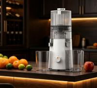 China Fresh Smart HJ102A Slow Masticating Juicer Machine – Whole Fruit & Vegetable Extractor with BPA-Free Components, 55 RPM Cold Press Technology for Maximum Nutrient Retention for sale