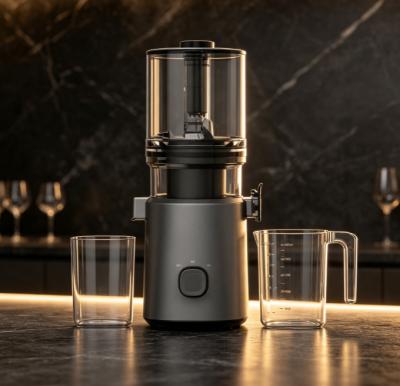 China Fresh Smart HJ303 Grounded Slow Masticating Juicer — Not Floating. Not Fancy. Just Grounded. for sale