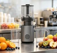 China Fresh Smart HJ303 Quiet Slow Masticating Juicer — Not Loud. Just Reliable. for sale
