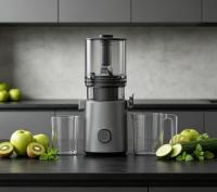 China Fresh Smart HJ303 No Questions Slow Masticating Juicer — No Questions Asked. No Questions Left. for sale