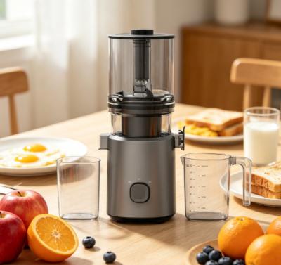 China Fresh Smart HJ303 Assured Slow Masticating Juicer — No Guesswork. No Doubt. Just Certainty. for sale