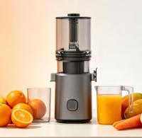China Fresh Smart HJ303 Undemanding Slow Masticating Juicer — It Doesn't Ask. It Just Gives. for sale