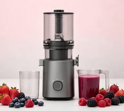 China Fresh Smart HJ303 Just Press Slow Masticating Juicer — Drop. Press. Serve. Done. for sale