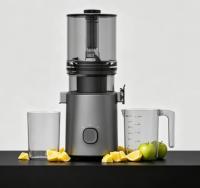 China Fresh Smart HJ303 Given Slow Masticating Juicer — It's Already Given. Just Take It. for sale