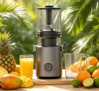 China Fresh Smart HJ303 Unfussy Slow Masticating Juicer — No Pickiness. Just Results. for sale