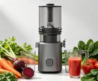 China Fresh Smart HJ303 Disturb Slow Masticating Juicer — It Never Disturbs. It Just Works. for sale