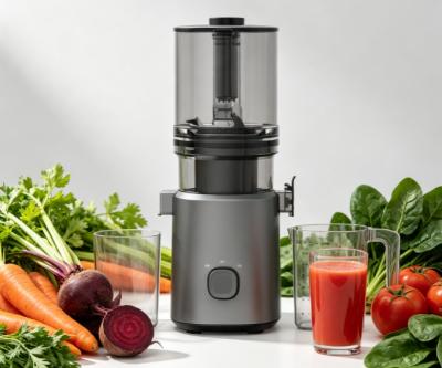 China Fresh Smart HJ303 Disturb Slow Masticating Juicer — It Never Disturbs. It Just Works. for sale