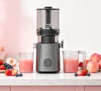 China Fresh Smart HJ303 Promise Slow Masticating Juicer — It Keeps Its Promise. Every Time. for sale