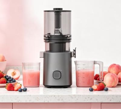 China Fresh Smart HJ303 Promise Slow Masticating Juicer — It Keeps Its Promise. Every Time. for sale