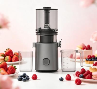 China Fresh Smart HJ303 Home Slow Masticating Juicer — The Center of Your Kitchen. The Heart of Your Home. for sale