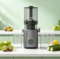 China Fresh Smart HJ303 Substance Slow Masticating Juicer — Substance Over Flash for sale