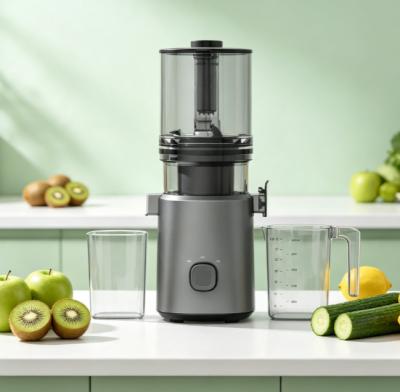 China Fresh Smart HJ303 Substance Slow Masticating Juicer — Substance Over Flash for sale