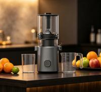 China Fresh Smart HJ303 Straight Slow Masticating Juicer — Straight from Fruit to Glass. No Detours. for sale