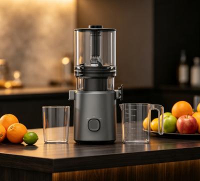 China Fresh Smart HJ303 Straight Slow Masticating Juicer — Straight from Fruit to Glass. No Detours. for sale