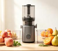 China Fresh Smart HJ303 Bold Slow Masticating Juicer — Big Enough for the Whole Pineapple for sale