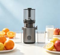 China Fresh Smart HJ303 Large-Capacity Slow Masticating Juicer — It Takes the Work Out of Juicing for sale