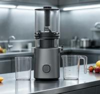 China Fresh Smart HJ303 Wide-Feed Slow Masticating Juicer — 155mm Chute, 2400ml Hopper, 200W Motor for sale