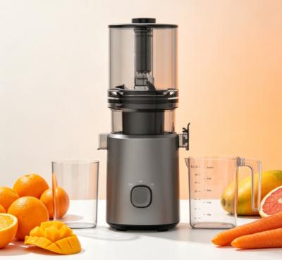 China Fresh Smart HJ303 Large-Capacity Slow Masticating Juicer — One Batch, Whole Family for sale