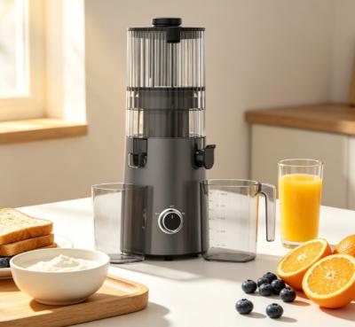 China Fresh Smart HJ103A Settle Slow Masticating Juicer — You Can Stop Looking. It's Right Here. for sale