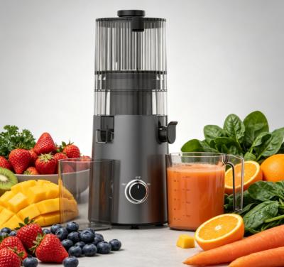 China Fresh Smart HJ103A Unpretentious Slow Masticating Juicer — It Doesn't Pretend to Be More Than It Is for sale