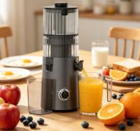 China Fresh Smart HJ103A Now Slow Masticating Juicer — No More Waiting. No More Excuses. Just Juice. Now. for sale