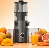 China Fresh Smart HJ103A RAW Slow Masticating Juicer — Unfiltered. Unprocessed. Uncompromised. for sale