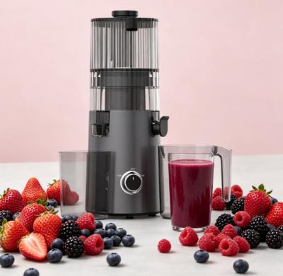 China Fresh Smart HJ103A Silent Slow Masticating Juicer — It Doesn't Say Much. It Just Works. for sale